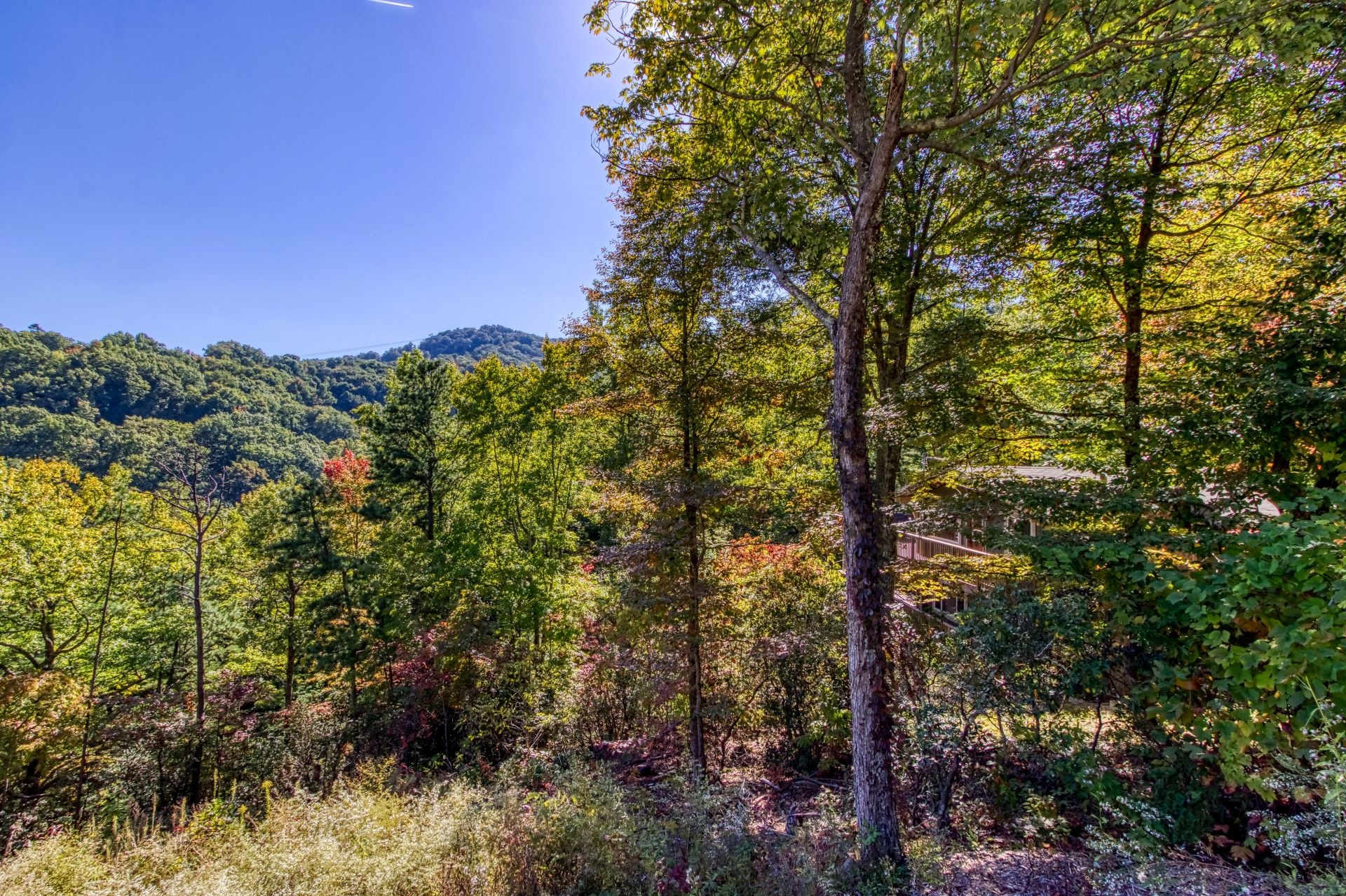 Gatlinburg Views | RedAwning